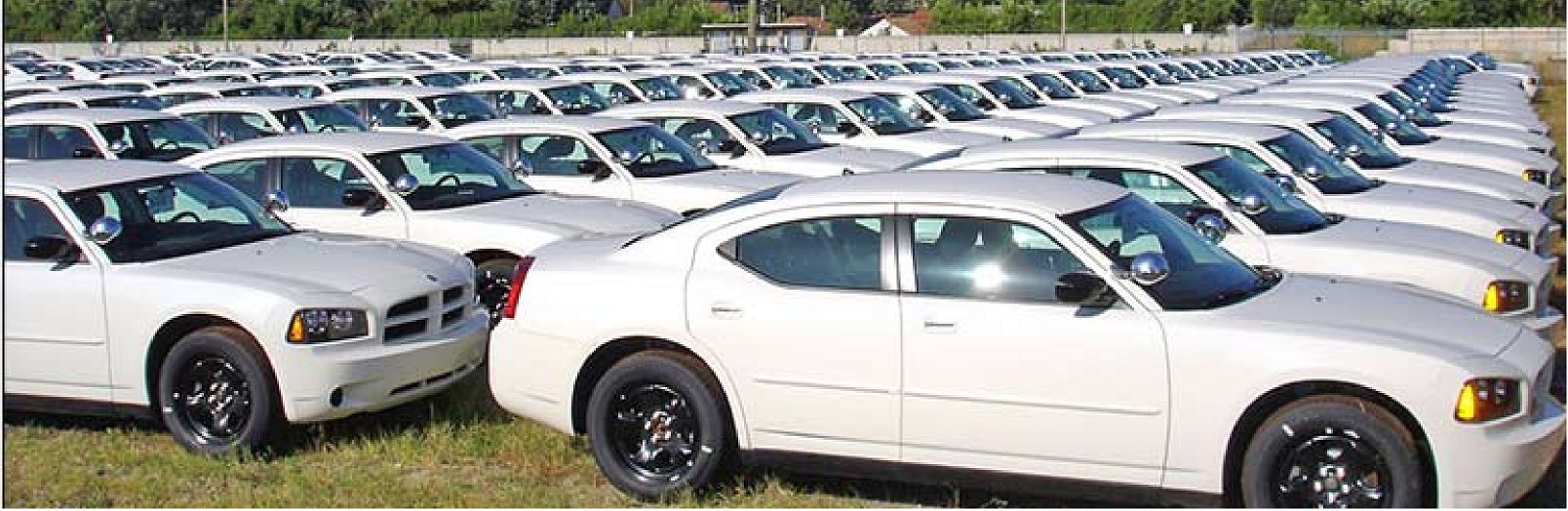 Vehicle Fleet Lettering - EZ-Lettering